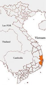 The Cuora Box Turtle Project