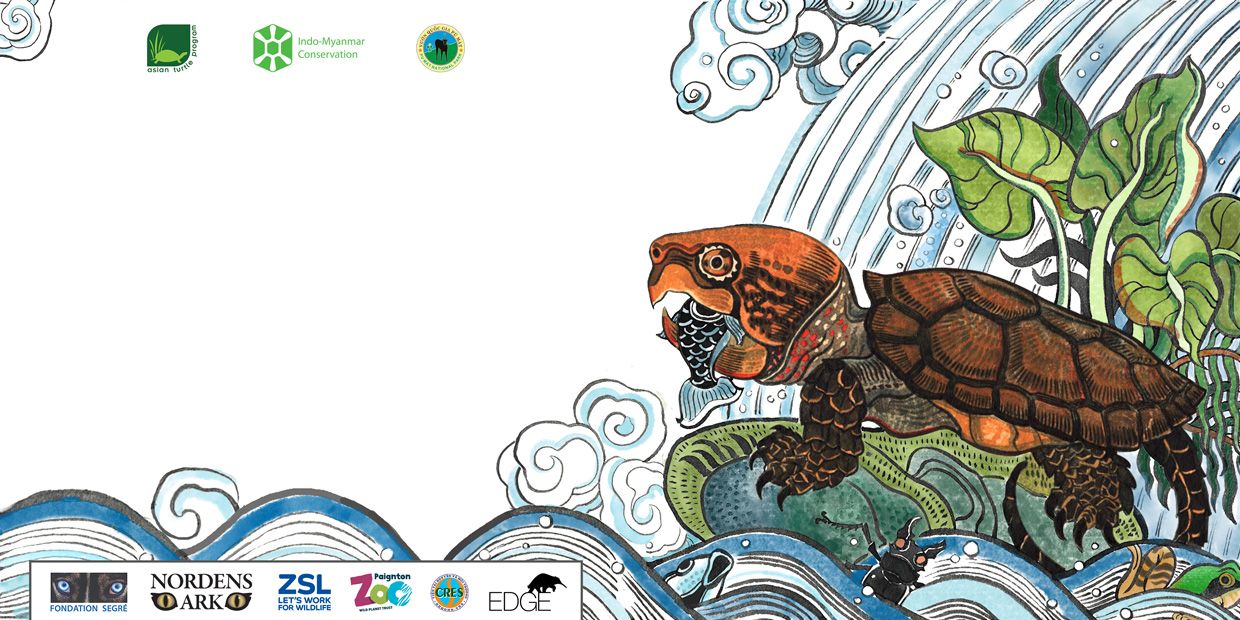 Asian Turtle Program