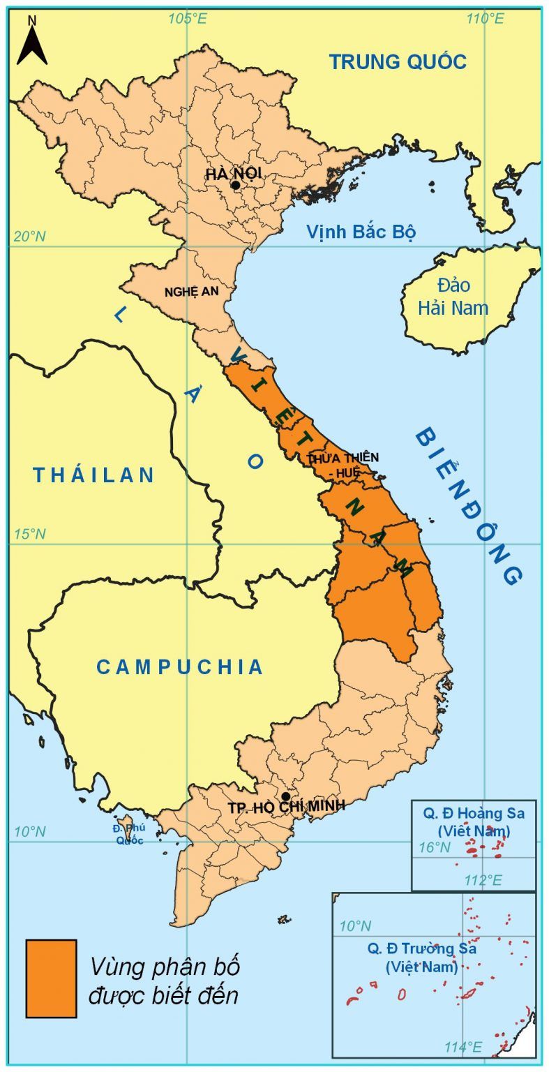 The Cuora Box Turtle Project