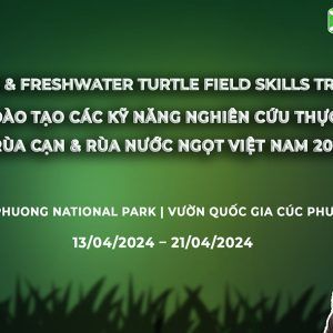 Asian Turtle Program